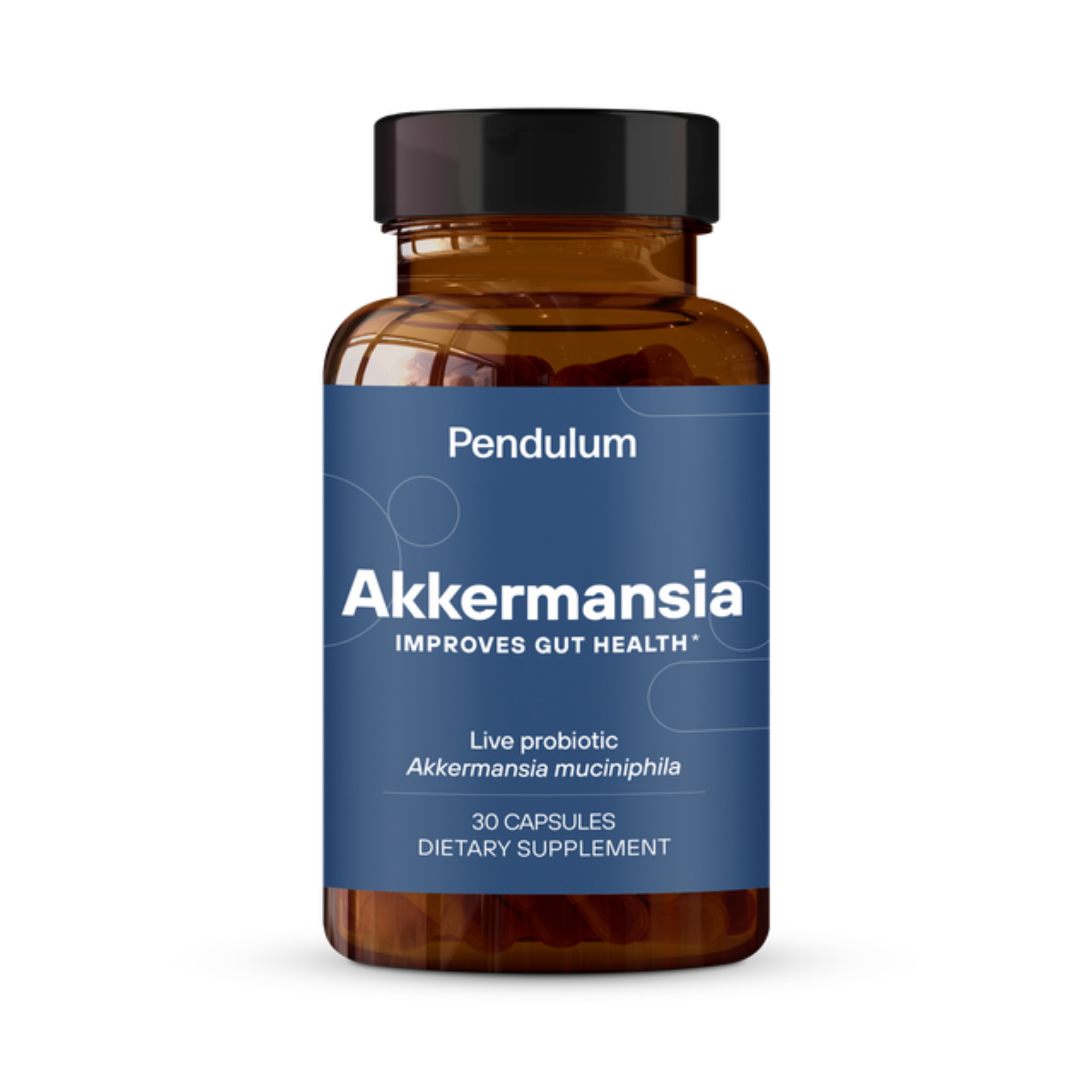 Akkermansia – Kizer Wellness LLC